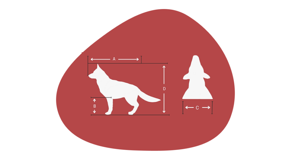 How To Measure Your PET – A1 Global